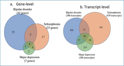Types Of Rna In 2021 Gene Expression Type Structure And Function Riset