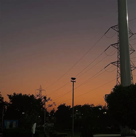 gallery anshika sinha vsco