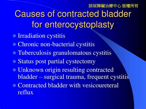 Ppt Enterocystoplasty Powerpoint Presentation Free Download Id5542674
