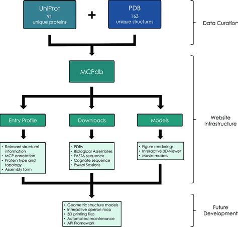 Flow Chart Depicting Data Curation And Generation Website Download Scientific Diagram