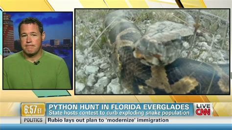 Florida Tackling Python Problem With Hunting Contest CNN