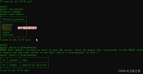 简单的sql注入演示sql注入测试截图 Csdn博客