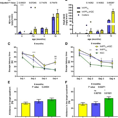 β Amyloid Aβ Deposition In The Perilesional Cortex Of App Ps1 Stbi