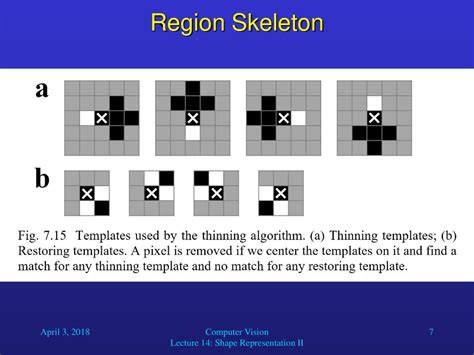 Slope And Curvature Density Functions Ppt Download