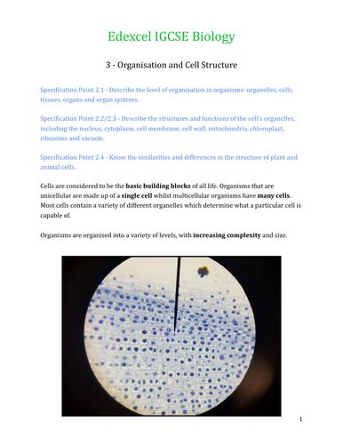 Edexcel Igcse Biology Worksheet 3 Organisation And Cell Structure Teaching Resources