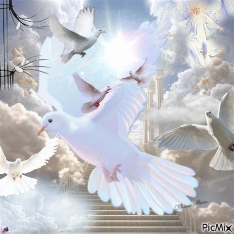 Dove Chocolate  At Rita Ware Blog