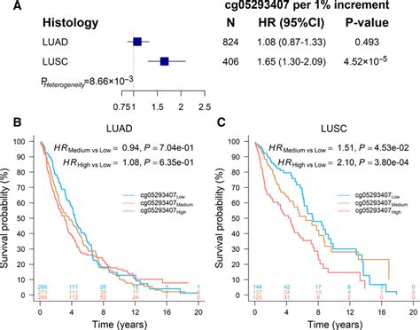 Methylation And Histology Interaction On Survival Of Nsclc Patients