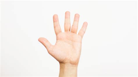 HandGesture Object Detection Dataset V9 2024 04 25 3 07pm By Hand
