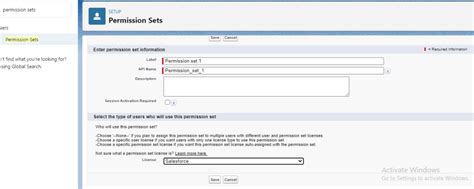 Permission Set In Salesforce Pashtek