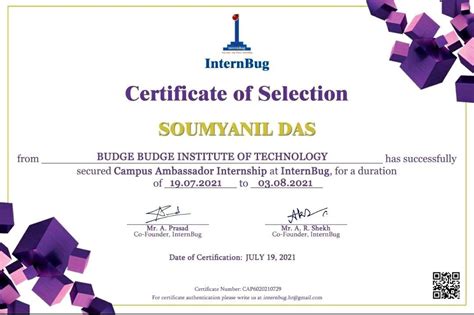 Internbug Internship Soumyanil Das