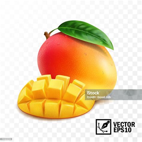 전체 및 조각 망고 과일 잎 3d 현실적인 고립 된 벡터 편집 가능한 수 제 메쉬 망고에 대한 스톡 벡터 아트 및 기타 이미지 망고 일러스트레이션 과일 Istock