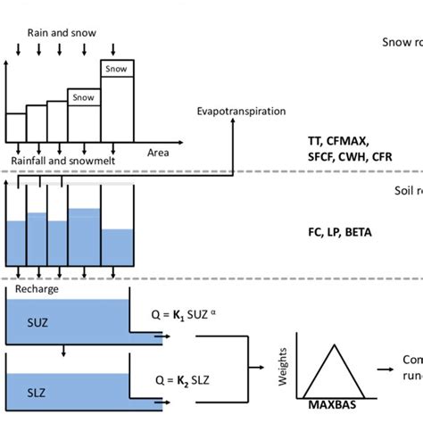 Structure Of The Hbv Model Download Scientific Diagram
