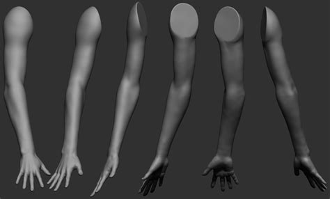 Female Arm Reference