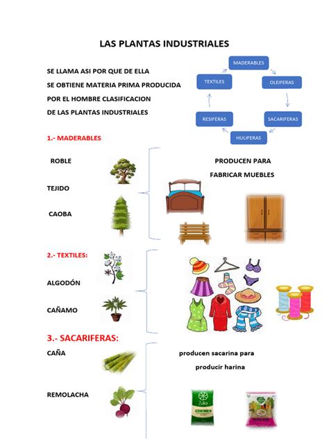 Las Plantas Industriales Pdf