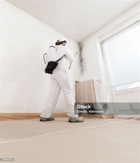 곰팡이 치료 서비스 주택 개조 현장에서 방호복과 호흡기 마스크를 착용하고 배낭 분무기로 집 페인트칠을 하기 전에 곰팡이를 제거하기 위해 제품을 분사하는 전문 작업자 Diy에