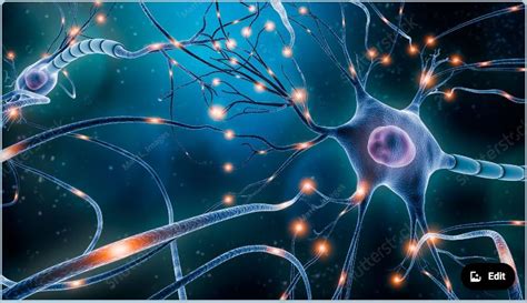 Bioimplants Bioelectronics Electricsignals Bioresorbableimplants Ultrasoundwaves