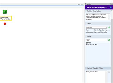 set business process variables in forms laserfiche answers