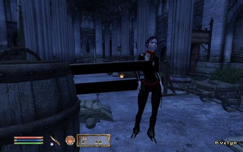 Zazstocks 03 Alpha Graphical Errors Please Help Oblivion Adult Mods