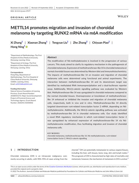 Pdf Mettl14 Promotes Migration And Invasion Of Choroidal Melanoma By Targeting Runx2 Mrna Via