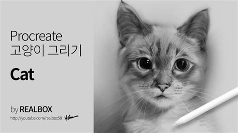 [리얼박스] 프로크리에이트 고양이 그리기 Youtube