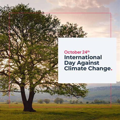 Coderio Technology Softwaredevelopment Sustainability