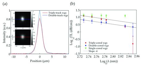 A Output Intensity Profile Of A Double Cored Blue And Triple Cored Download Scientific