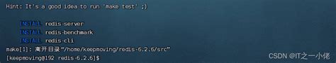 centos7 安装redis详细教程 centos7安装redis csdn博客