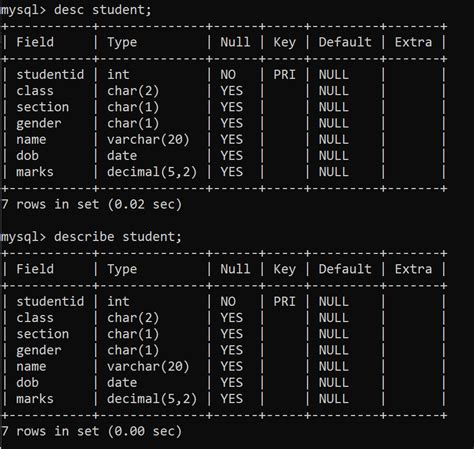 Practical File Informatics Practices Class 11 Comprehensive Guide