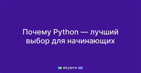 Почему Python — лучший выбор для начинающих