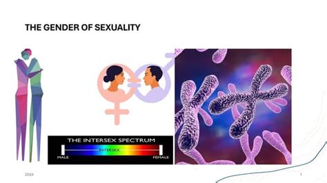 Intersex Gender Discourse Topic No 1 Pdf Ppt