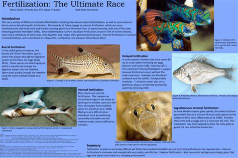 18 Internal Fertilization Fish Inspirasi Terbaru