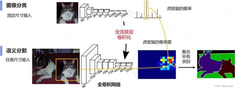 AI实战营语义分割与MMSegmentation CSDN博客