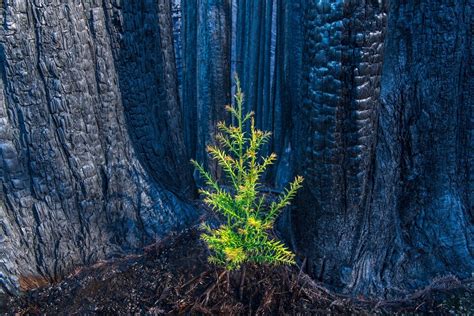 인터뷰 인간이 자연 돌보면 자연도 인간 돌본다