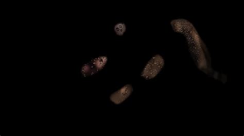 Adult Story Search Watch The Best Free Porn LetMeJerk