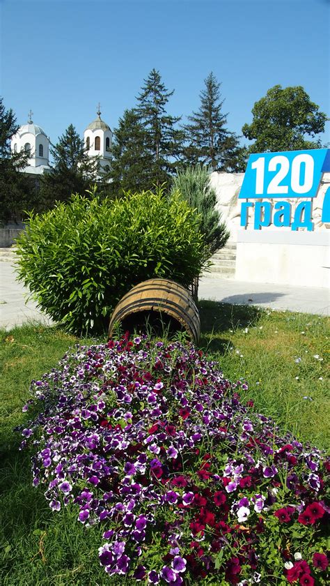 Вестник Луковитски новини Честит празник на ЖЕНАТА