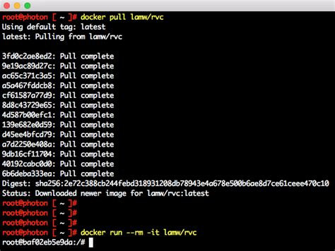 Docker Container For The Ruby Vsphere Console Rvc