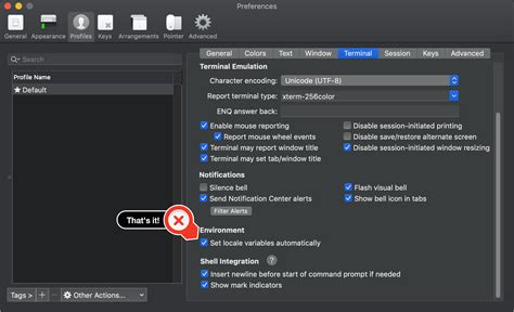 Shell On Macos LC CTYPE Set To Wrong Value Where To Change For ITerm Super User