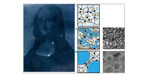 Digitally Programmable Microphase Separation In Polymer Network