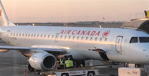 Stowaway Raccoon Delays Toronto Bound Air Canada Flight News