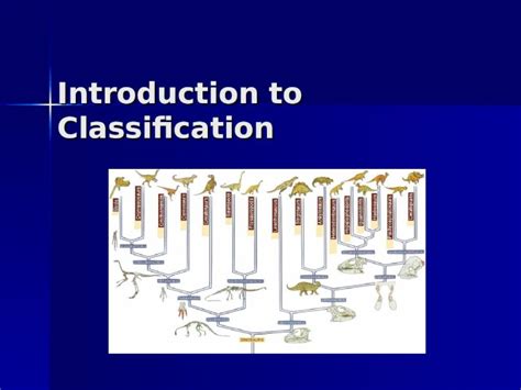 Ppt Introduction To Classification Dokumentips