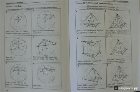 Книга Геометрия 10 11 классы Задачи и упражнения на готовых чертежах Ефим Рабинович Купить