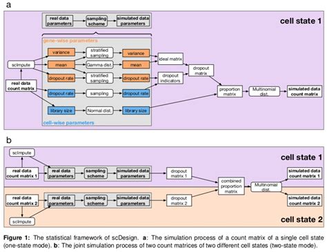 Antisense Razoralign Twitter