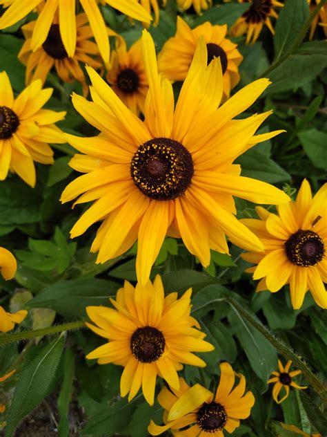 河边 牧人池塘 Dba杂谈录