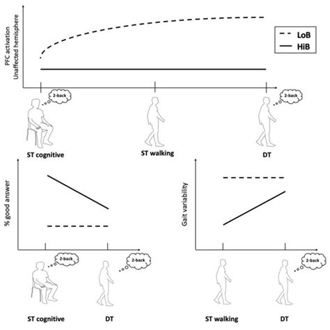 Conceptual Framework Illustrating Cognitive Motor Performances And