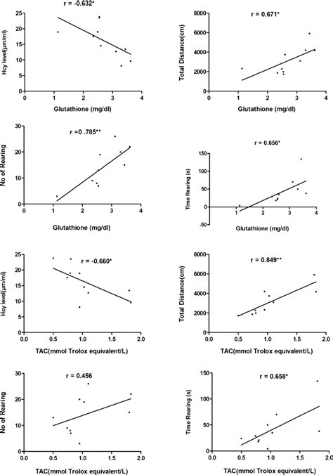 Correlation Graph Between Different Parameters Download Scientific Diagram