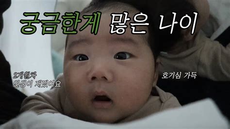 궁금한게 많은 나이 2개월 육아 Vlog 귀여워요 Youtube