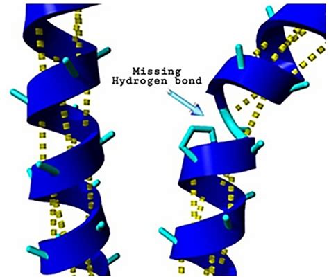 The Mutant Residue Located In An α Helix Download Scientific Diagram