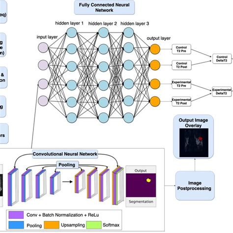 Deep Learning Algorithm Tumor Segmentation And Analysis A Original Download Scientific