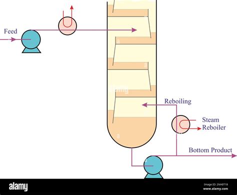 Stripping Section Of A Distillation Column Stock Vector Image And Art Alamy