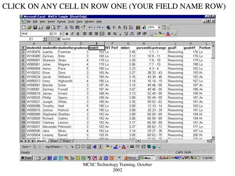 Ppt Manipulating Data With Excel Powerpoint Presentation Free